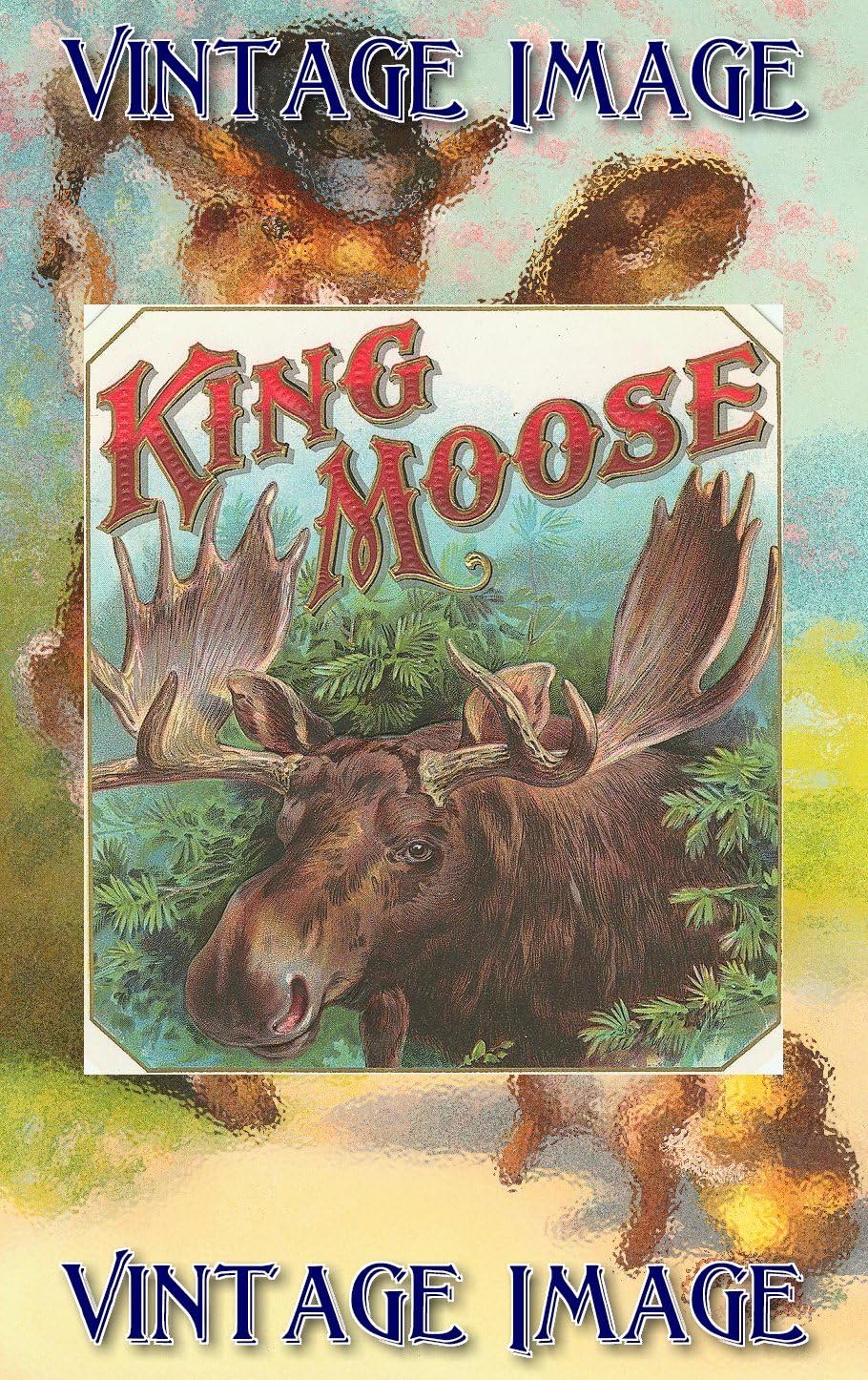 Amazon.com: 6" x 4" (15cm x 10cm) Mounted Photographic Print Animals ...