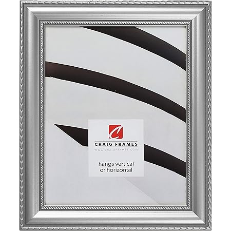 Amazon.com - Craig Frames Bauhaus 125 Picture Frame, 24 x 36 Inch ...