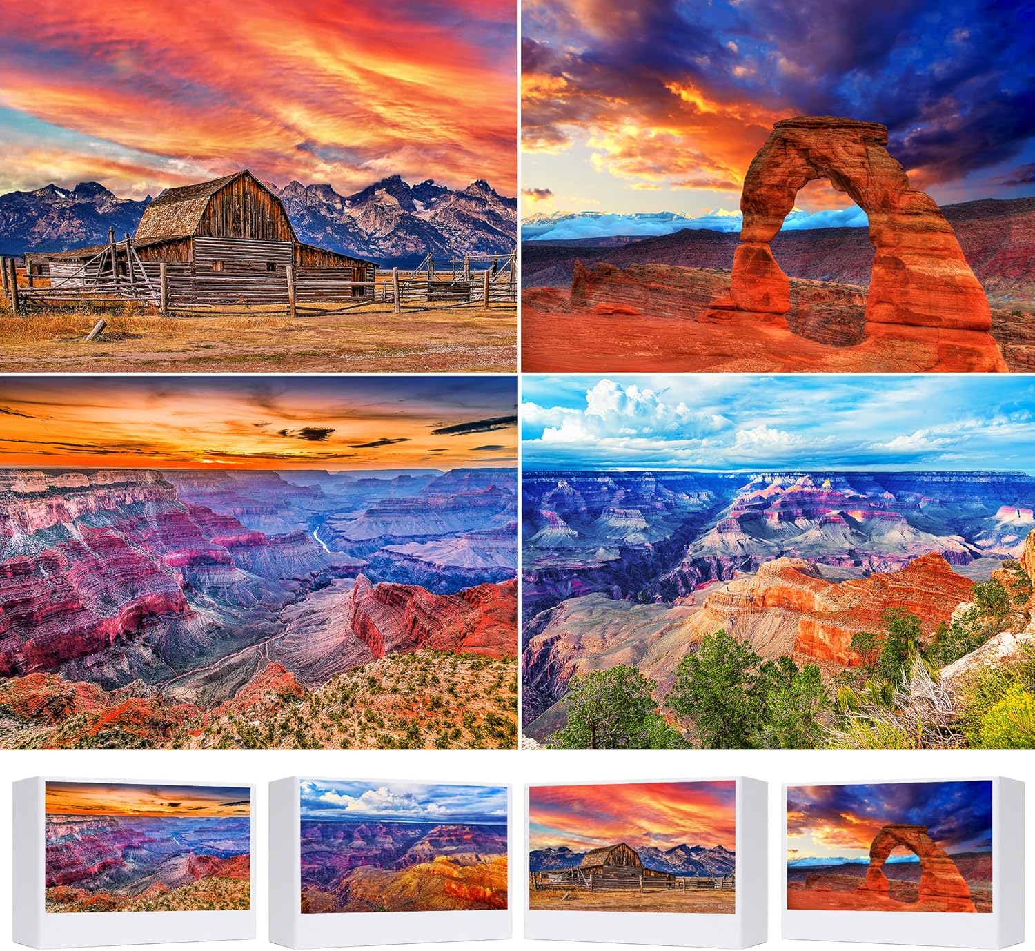 Amazon.com: Jigsaw Puzzles for Adults, 4 Pack 1000 Pieces, Nature Landscape Scene Challenging ...