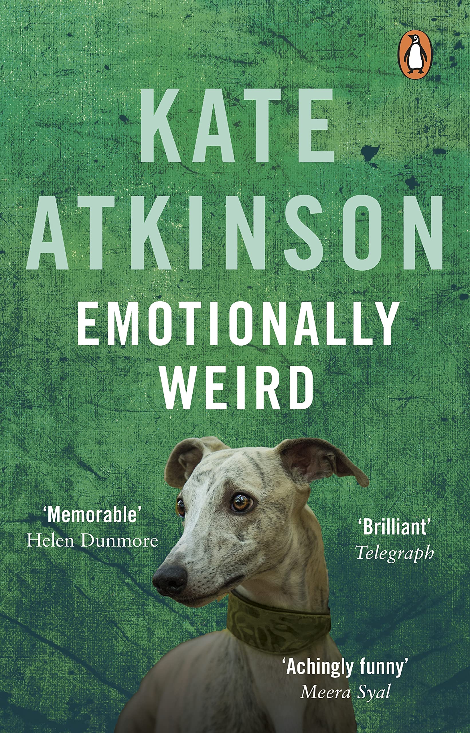 Do Whippets Kill Brain Cells