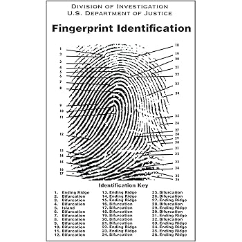 Amazon.com: Fingerprint Chart: Posters & Prints