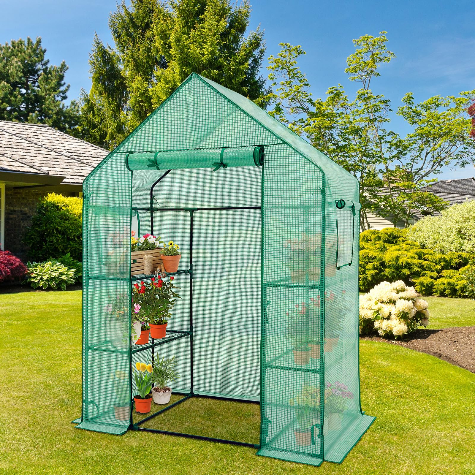Snapklik.com : COOS BAY Walk In Mini Greenhouse
