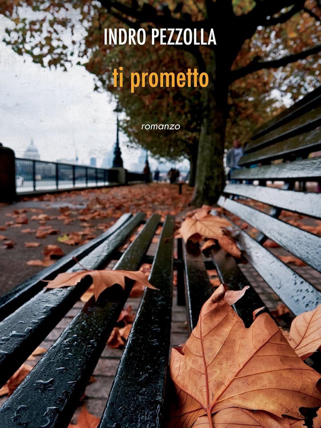 Amazon | Ti prometto (Italian Edition) [Kindle edition] by Indro ...