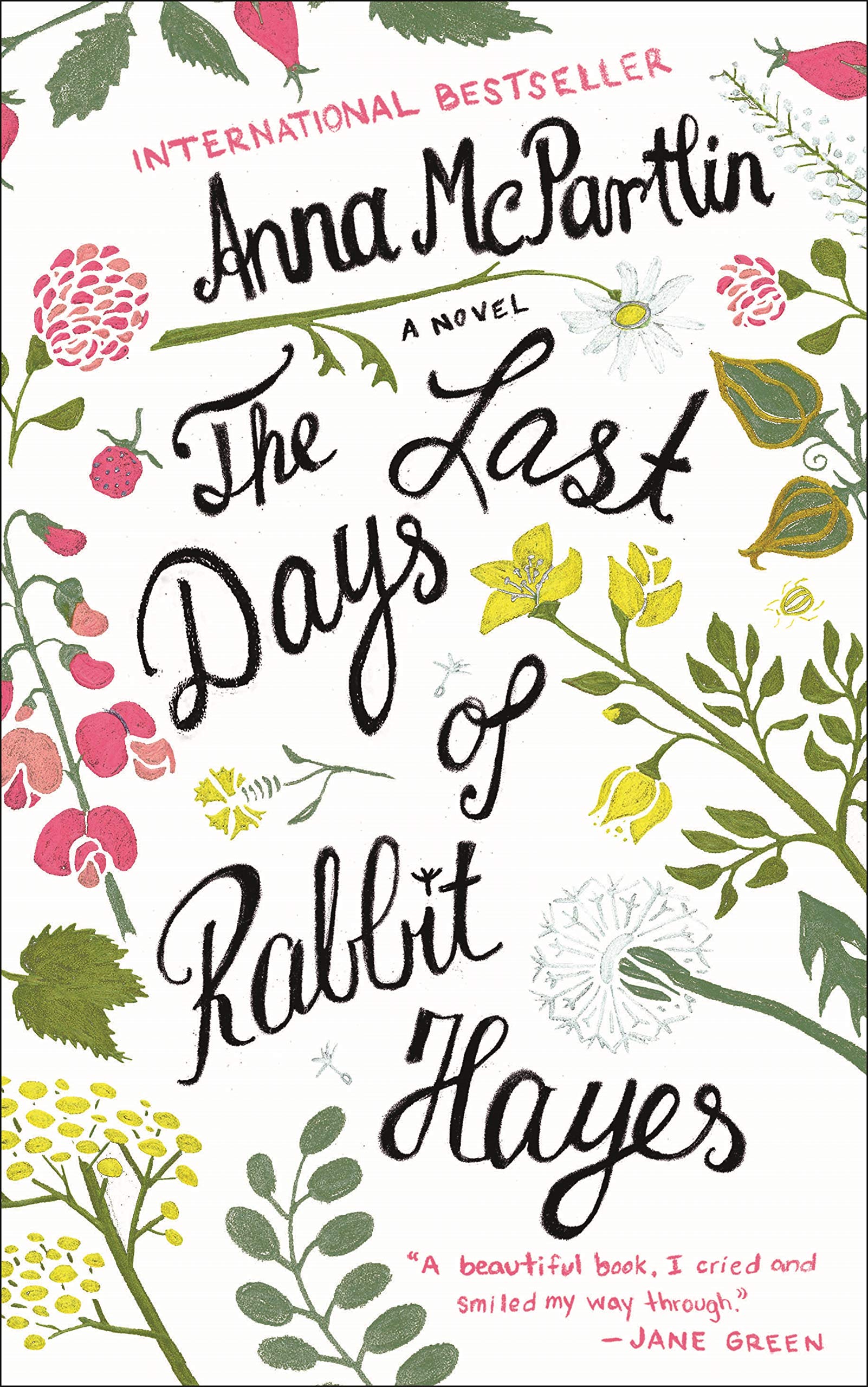 The Last Days of Rabbit Hayes: A Novel: McPartlin, Anna: 9781250093851 ...