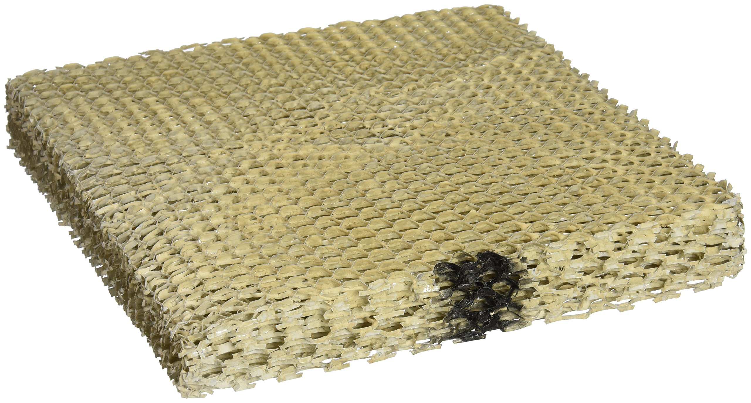 Amazon.com: Honeywell HC22A1007 Water Panel Humid Pad : Health & Household