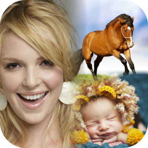 PicMix Free:Amazon.com:Appstore for Android