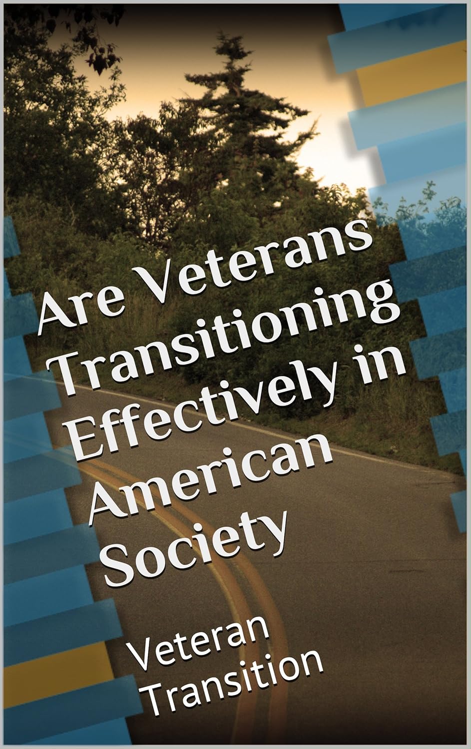 Are Veterans Transitioning Effectively in American Society: Veteran ...