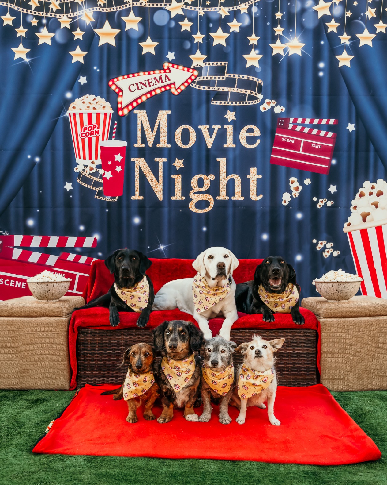 Amazon.com : Avezano Movie Night Backdrop Movie Night Curtain Birthday ...