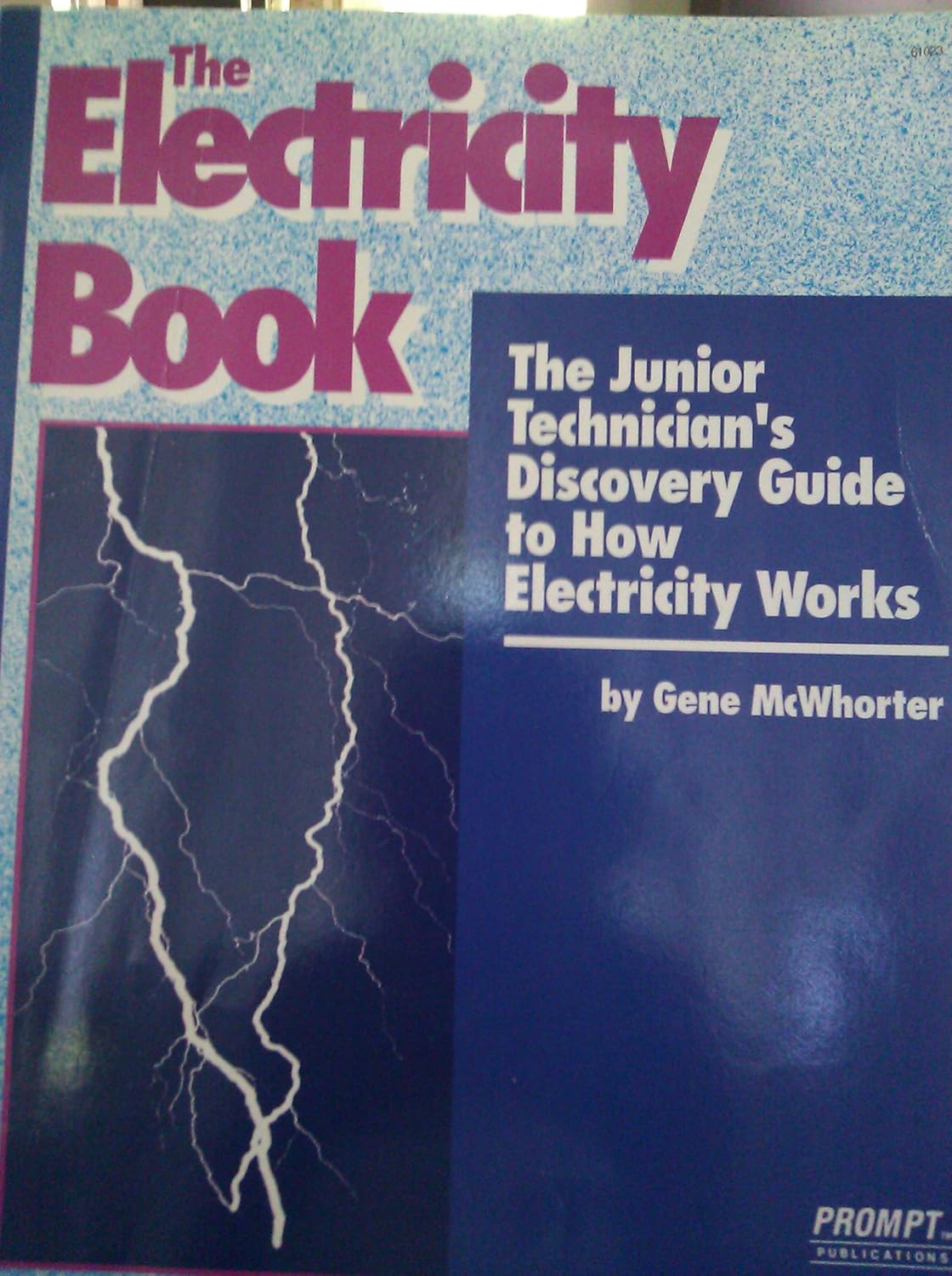The Electricity Book: The Junior Technician's Discovery Guide to How ...