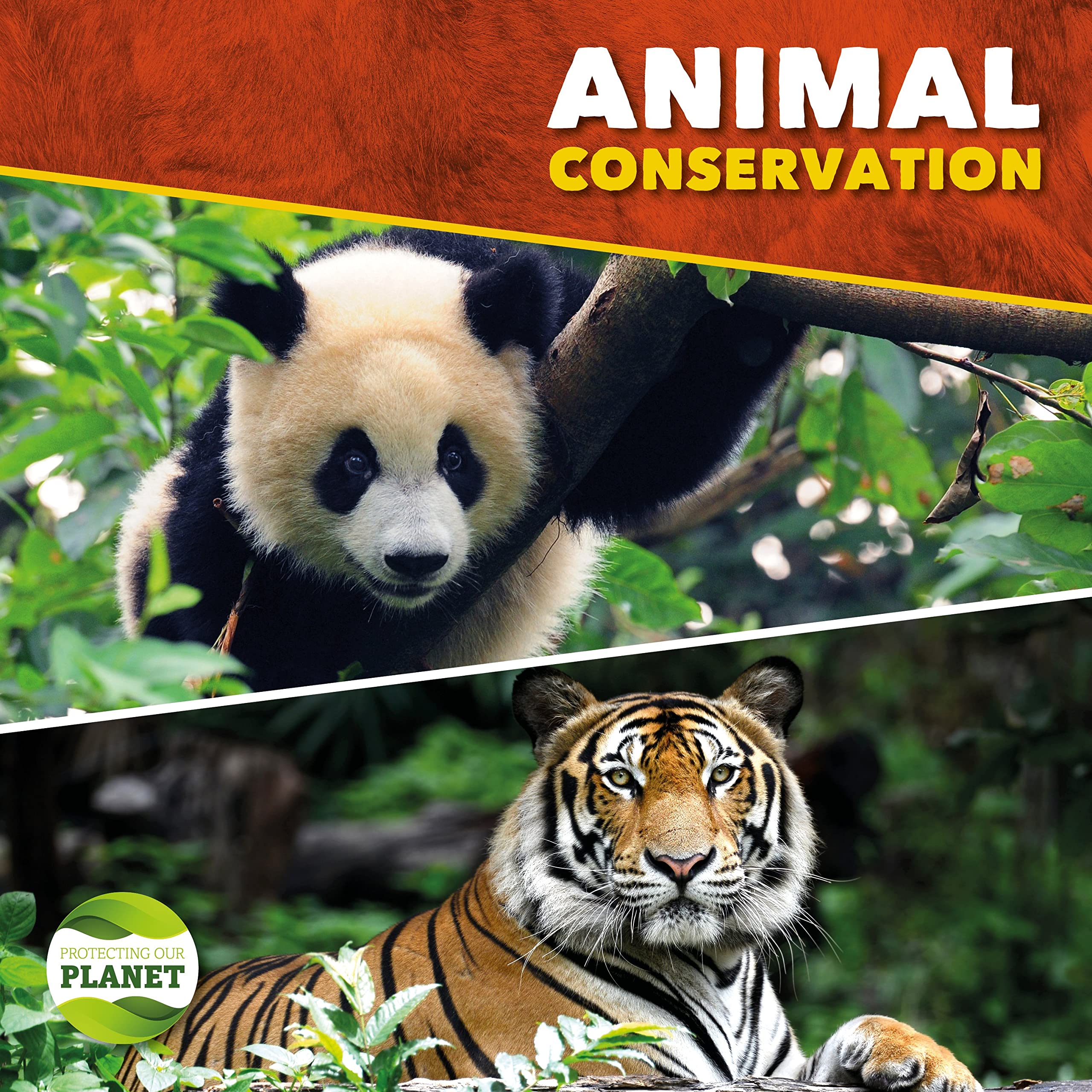 Amazon.com: Animal Conservation (Protecting Our Planet): 9781786372598 ...