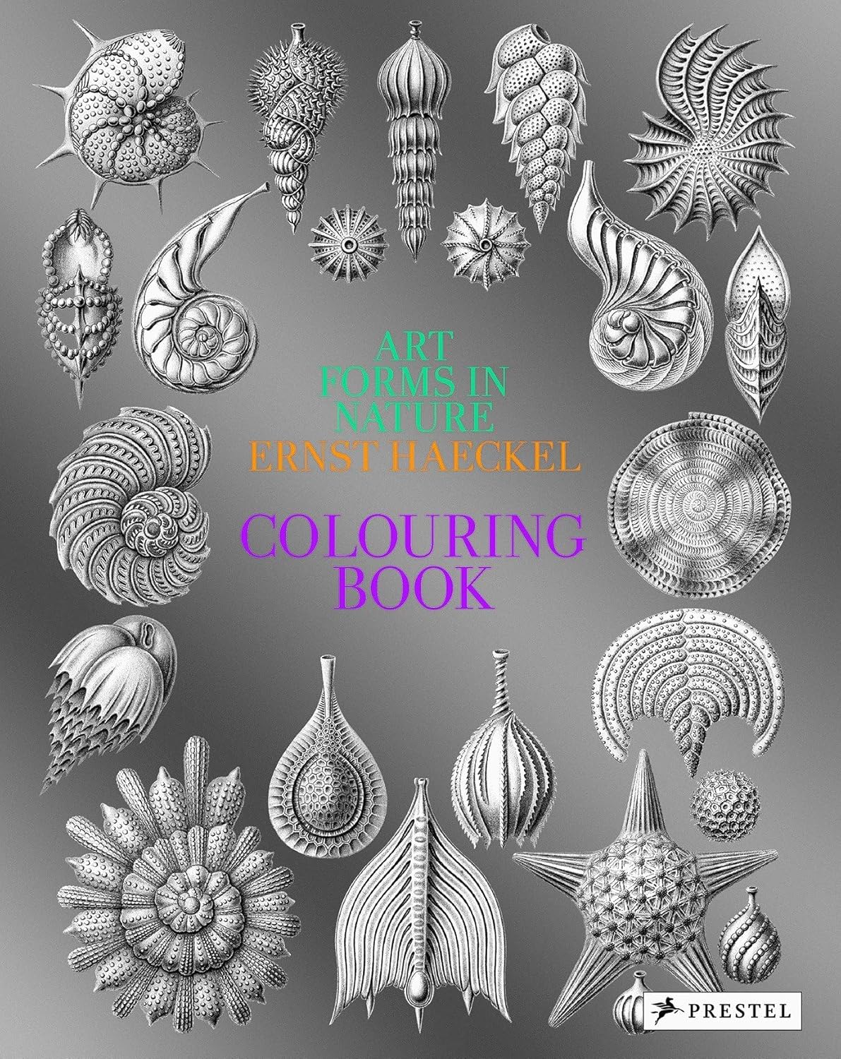 Art Forms in Nature Ernst Haeckel: Colouring Book : Dziadosz, Barbara ...