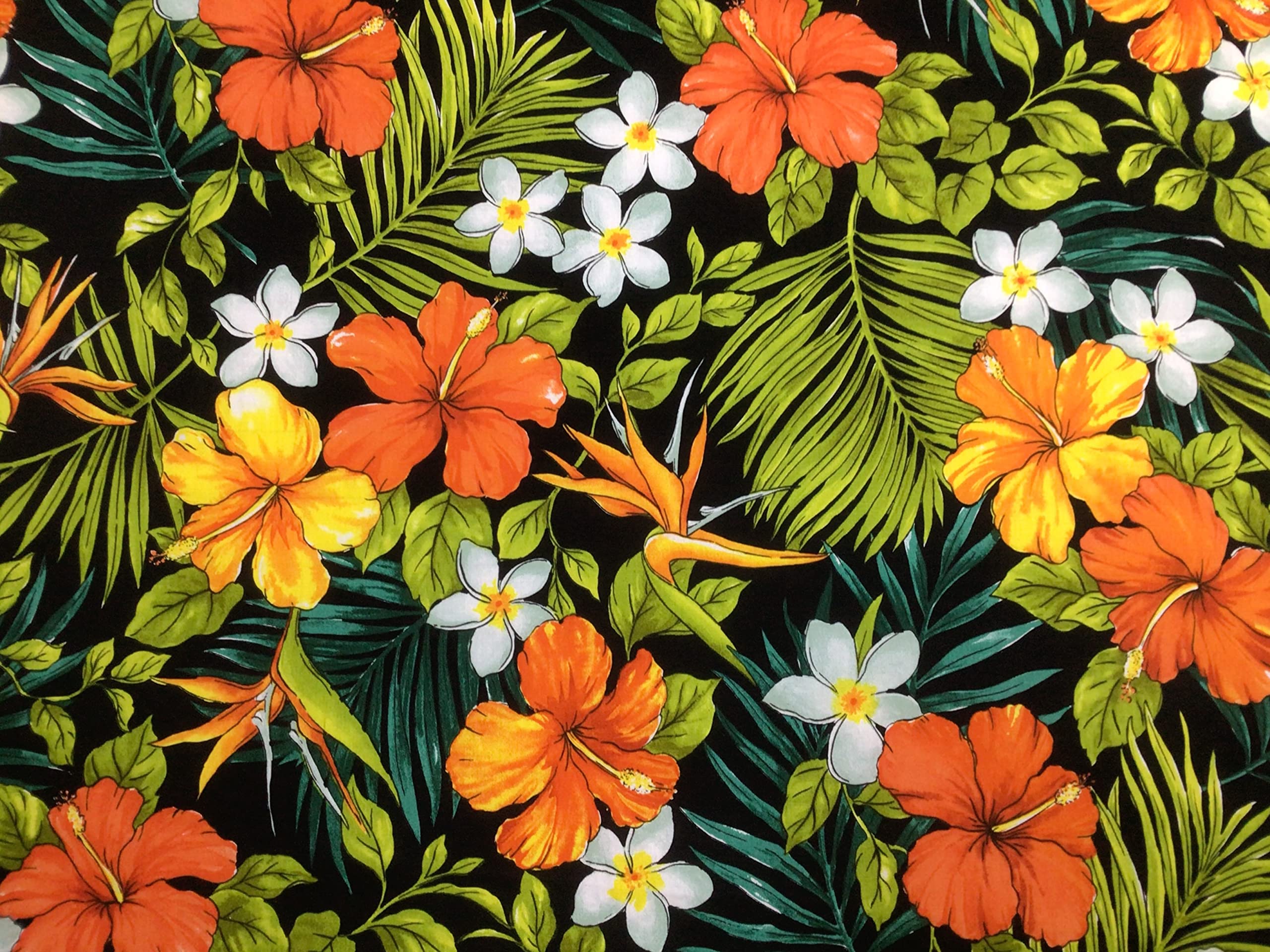 Tropical Floral Print