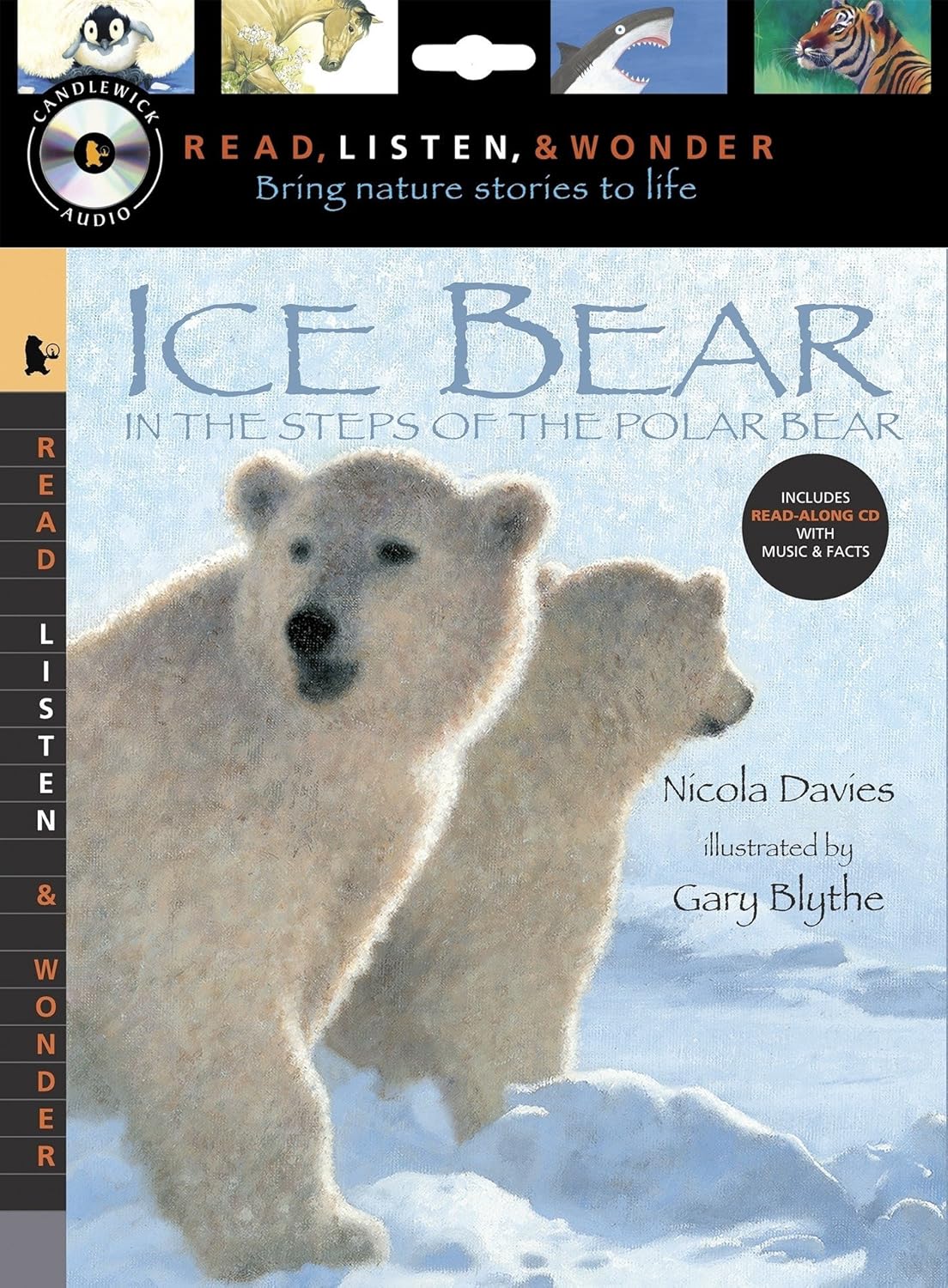 Ice Bear with Audio, Peggable: Read, Listen, & Wonder: In the Steps of ...
