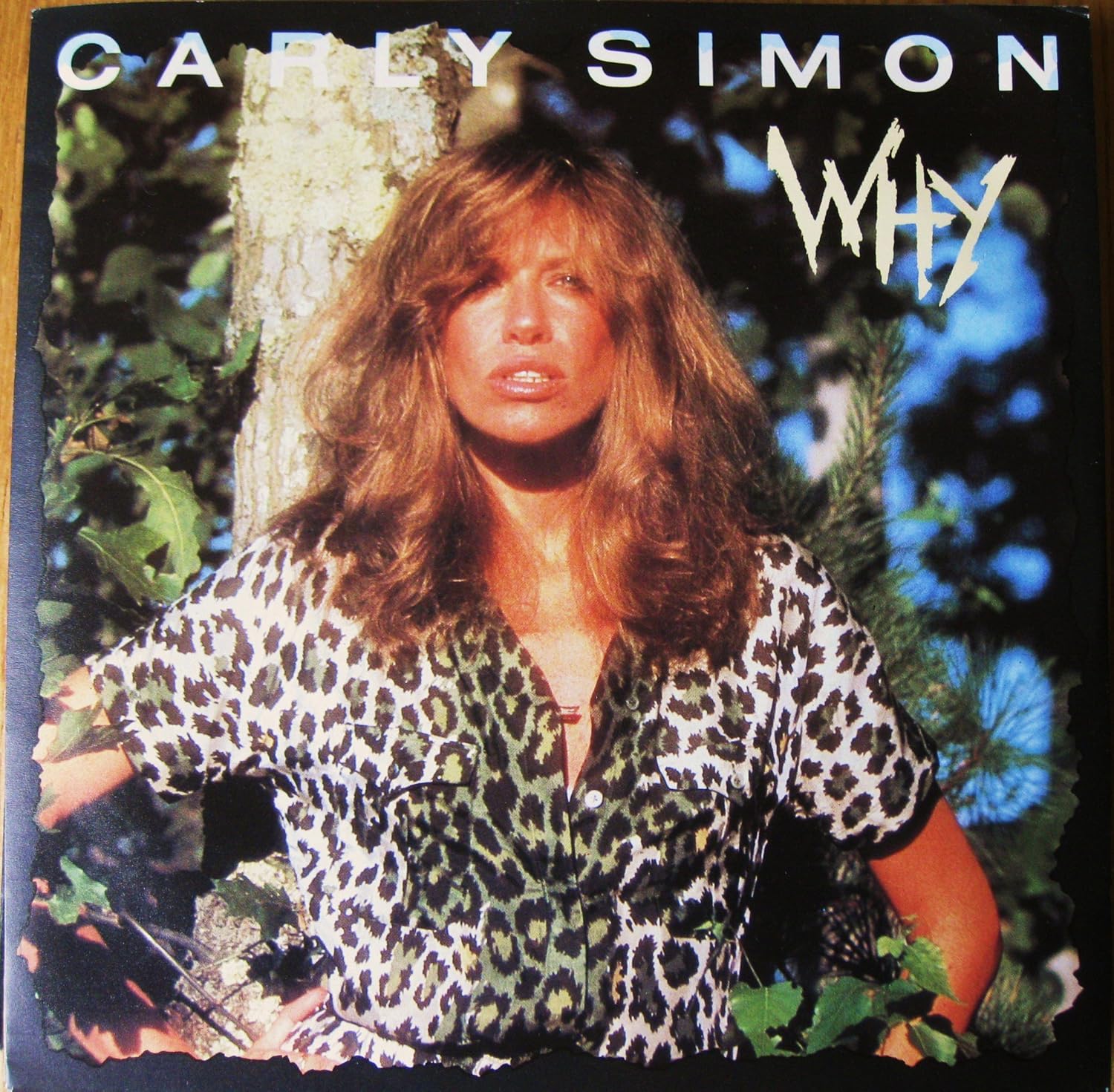 Carly Simon - "Why"- 7" 45rpm VINYL Record Single 1982 - Carly Simon ...