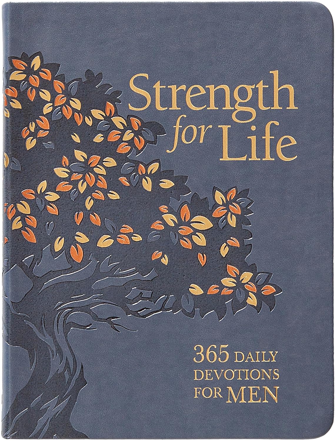 Strength for Life: 365 Daily Devotions for Men – Find Courage to Face Every Challenge: Bailey ...