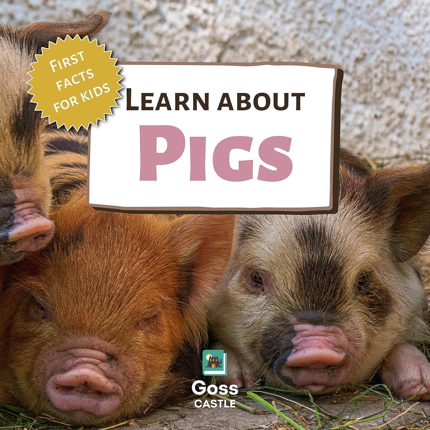 Learn About Pigs - First Facts for Kids (First Facts for Kids! The ...