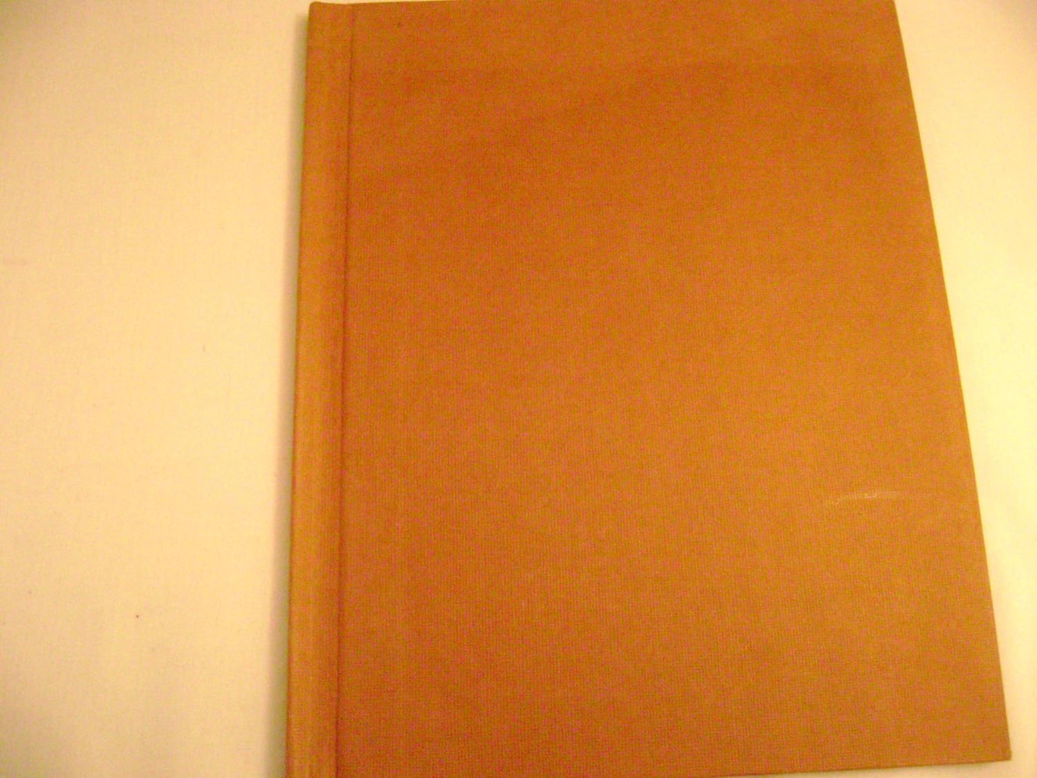Two Travelers: Manson, Christopher: 9780805012149: Amazon.com: Books