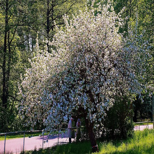 fadey - App on Amazon Appstore