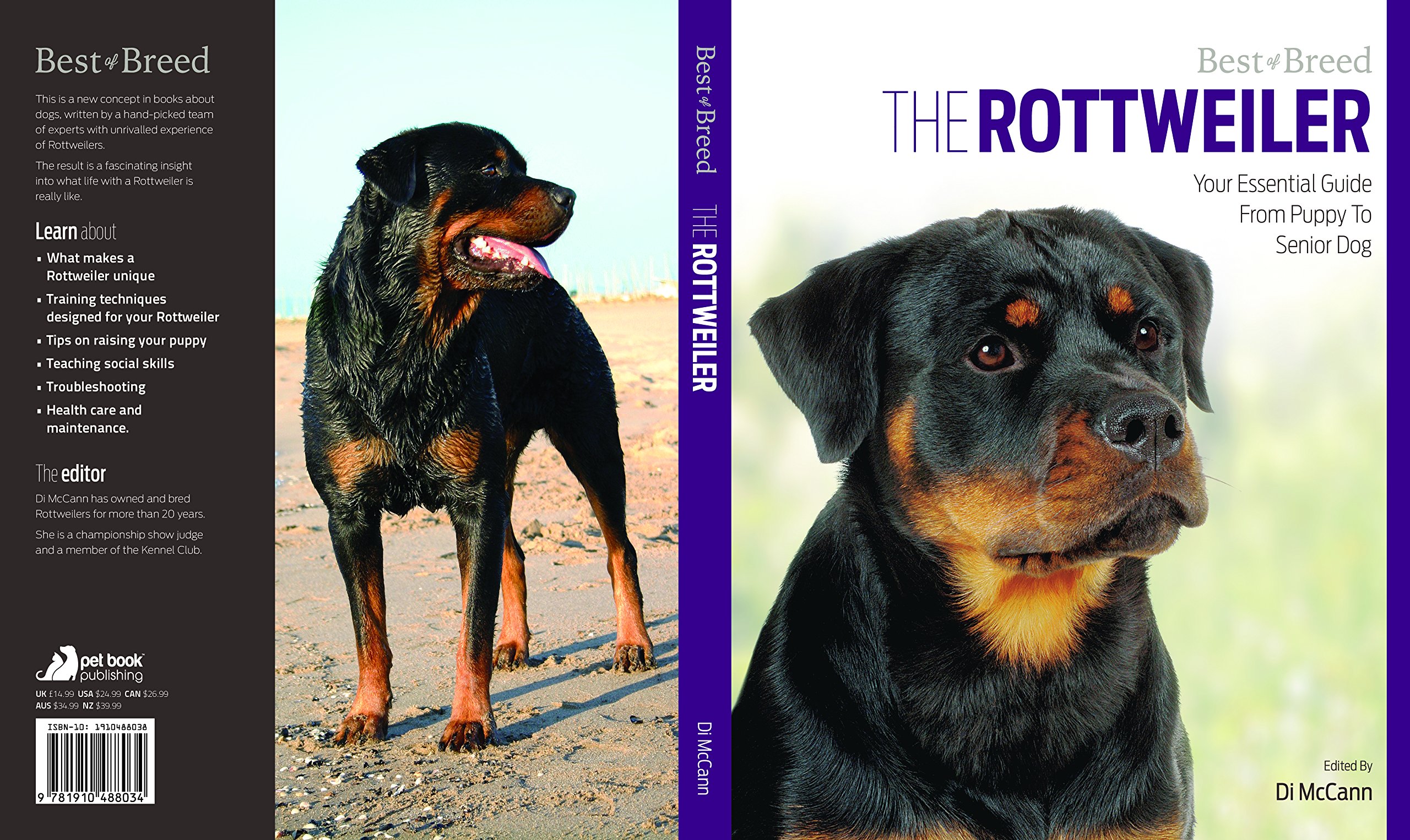 How To Take Care Of Your Rottweiler