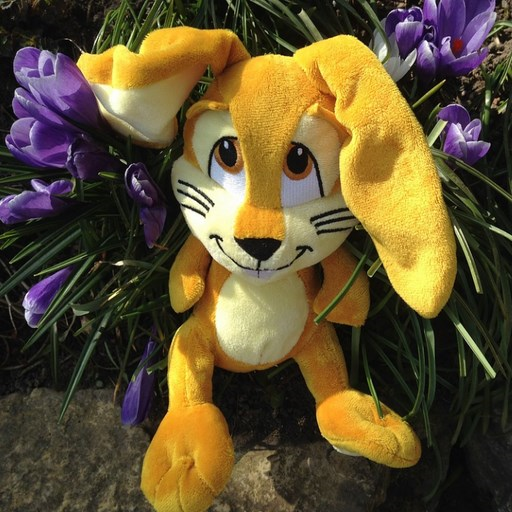 Naugen - App on Amazon Appstore