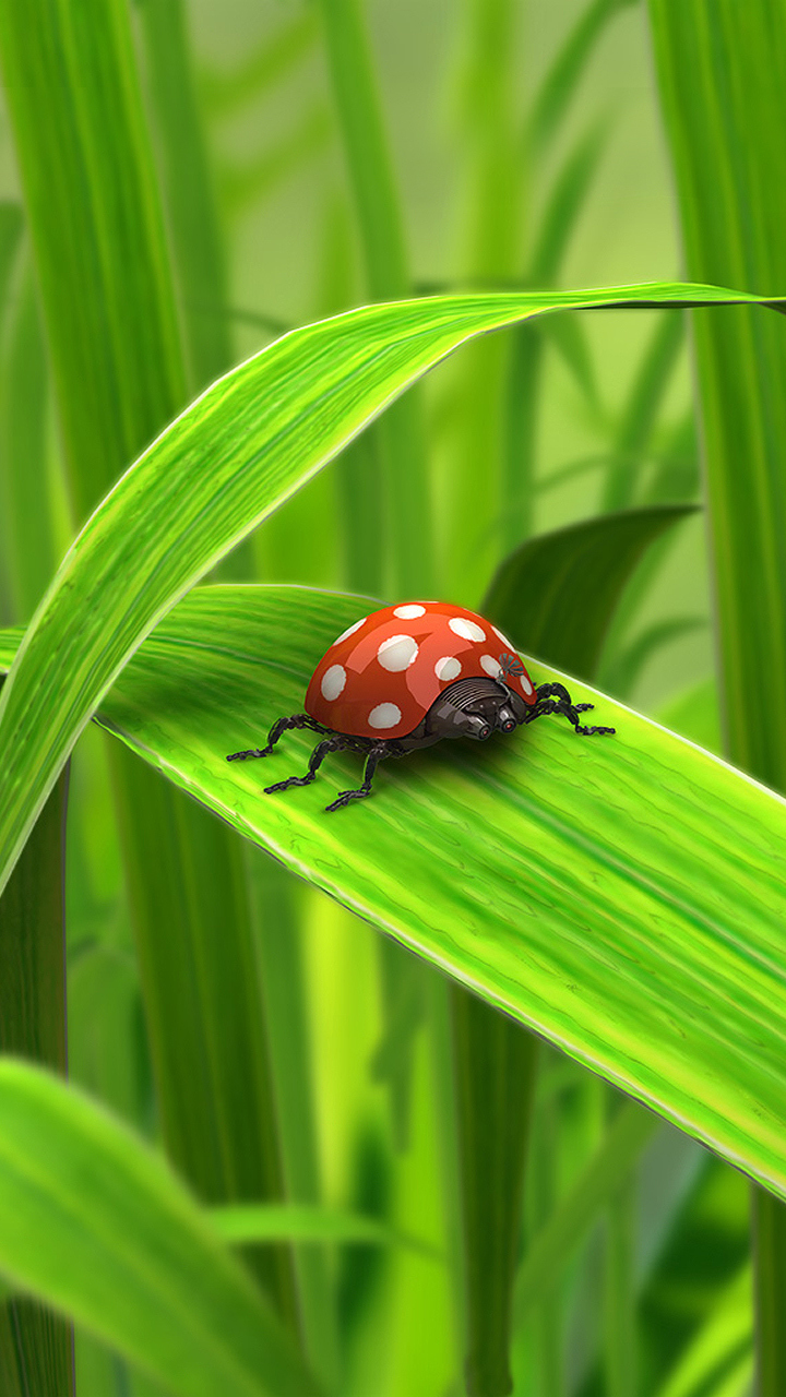 Almas - App on Amazon Appstore