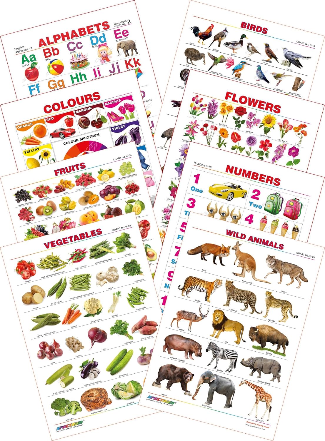 Spectrum Educational Mini Wall Chart (Set of 8) : Set 1 ( English ...