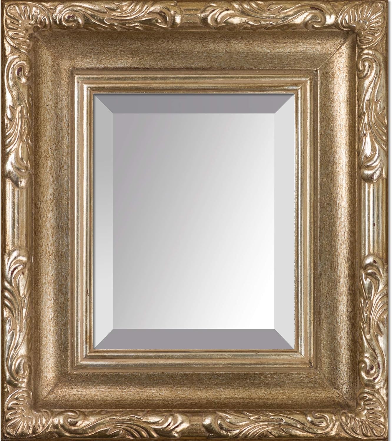 Florentine Dark Champagne Frame : Amazon.ca: Home