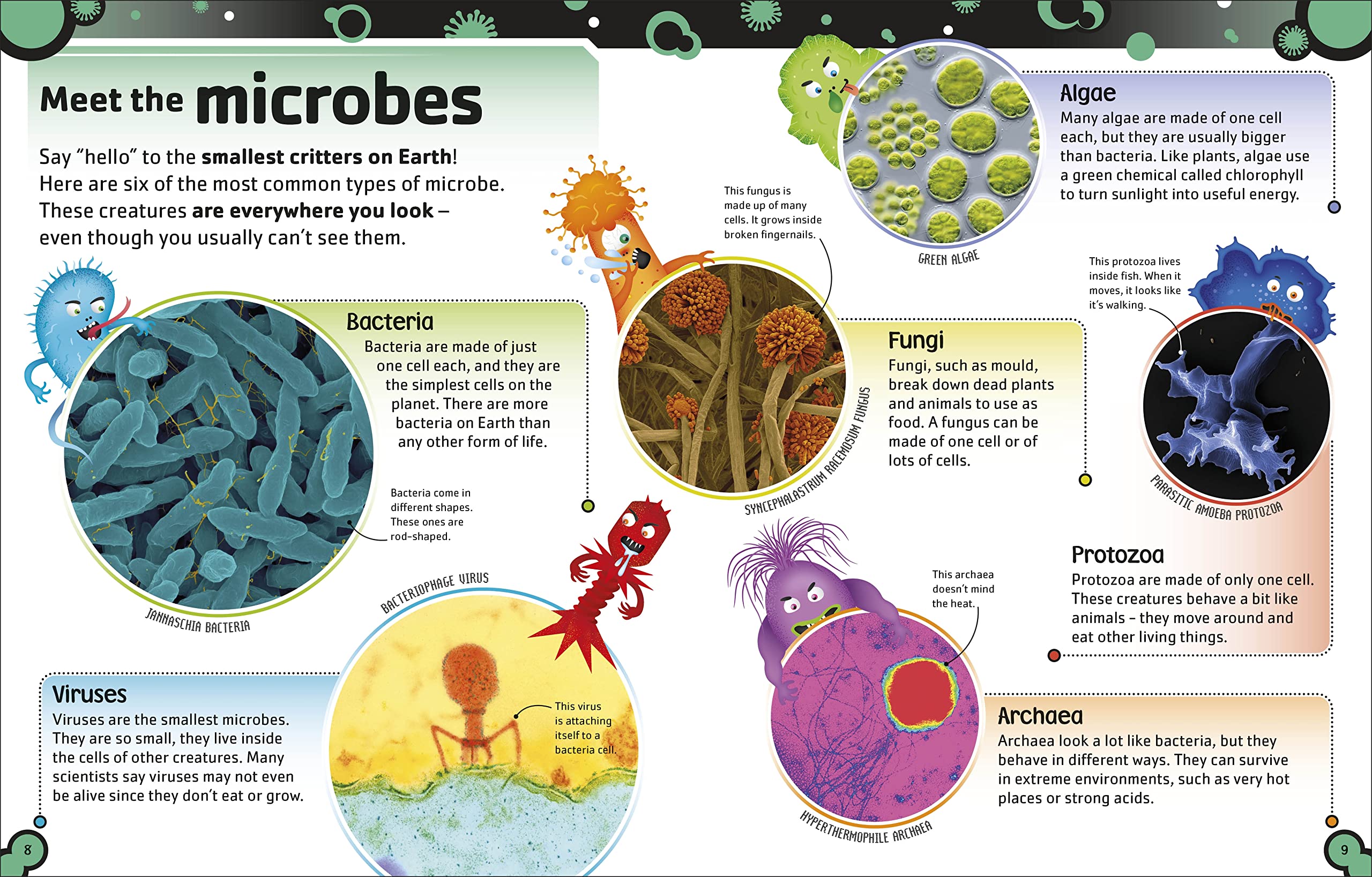 Snapklik.com : The Bacteria Book: Gross Germs, Vile Viruses And Funky Fungi