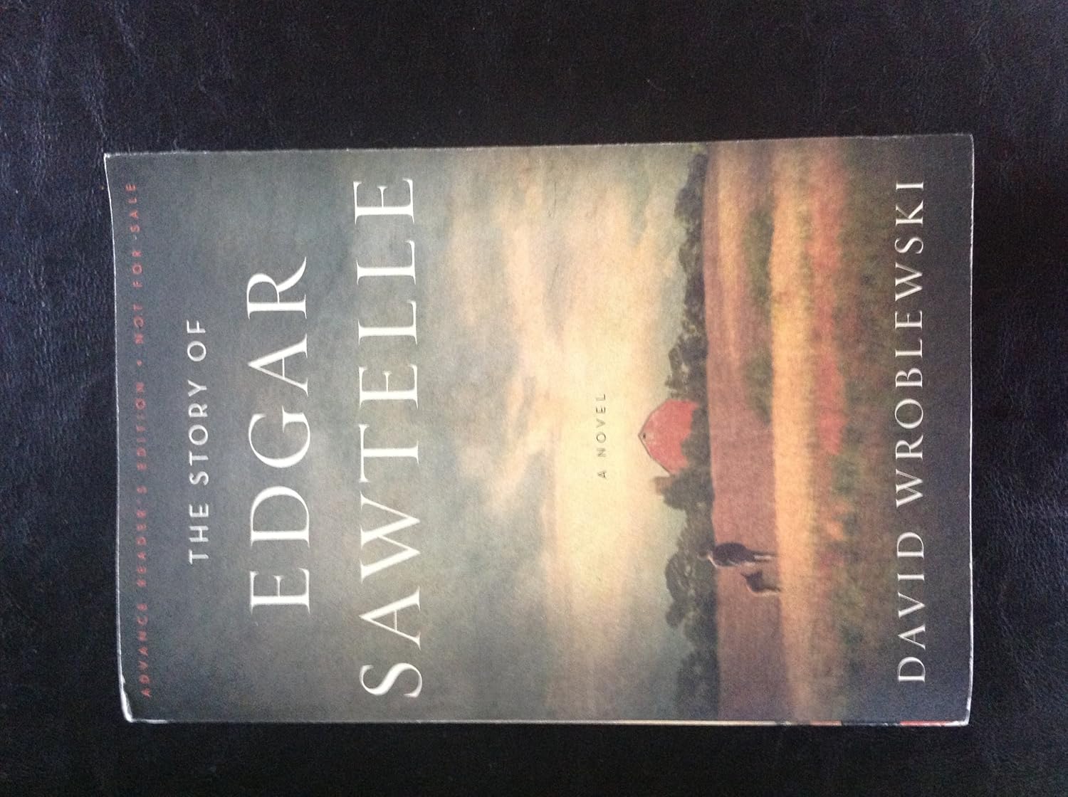 The Story of Edgar Sawtelle: David Wroblewski: Amazon.com: Books