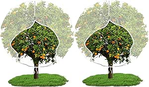 Amazon.com : 8'x8' Large Fruit Tree Netting for Squirrels and Birds with Zipper, 2PC Fruit Tree ...