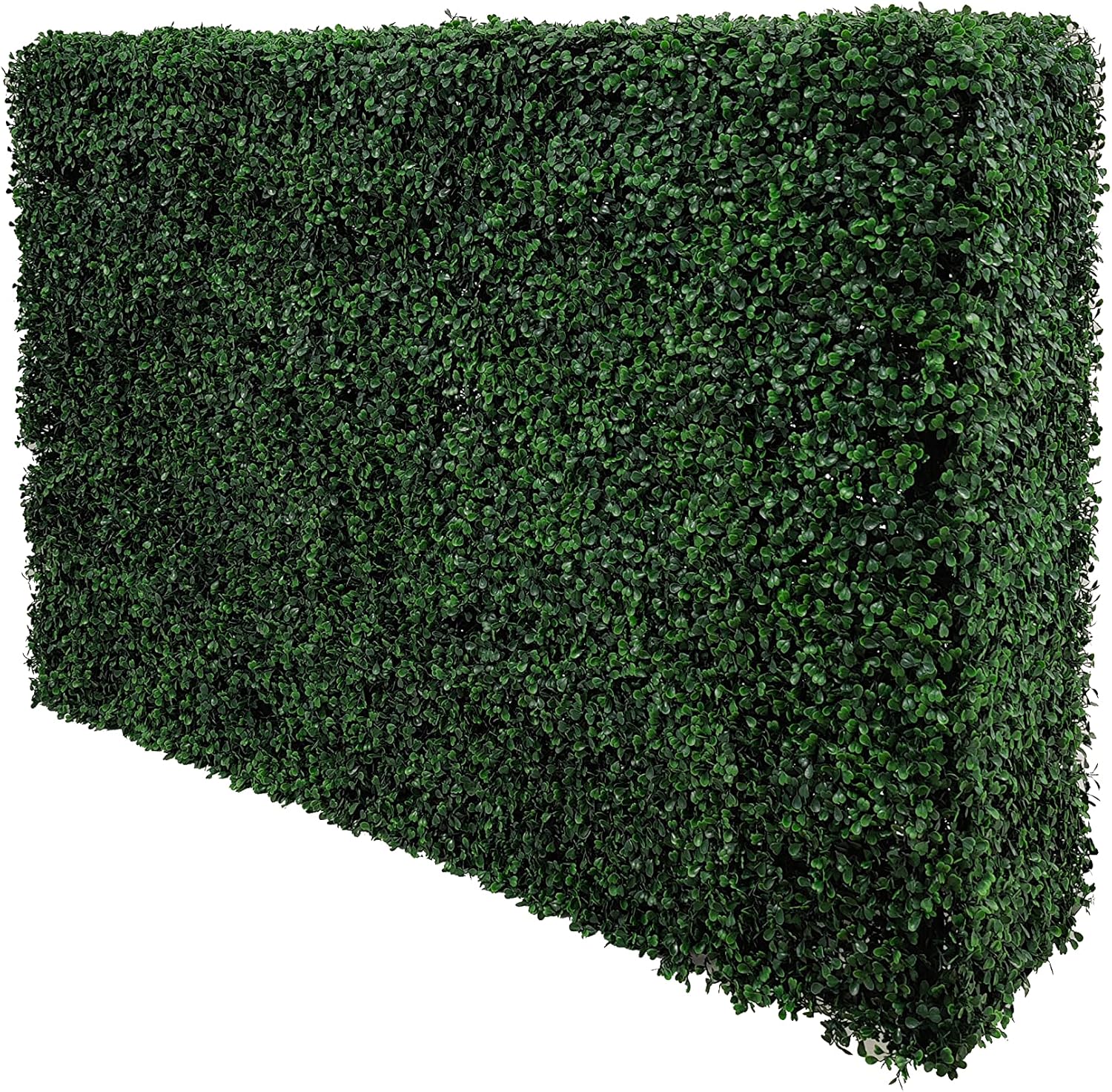 Amazon.com : AGPL 32" Boxwood Hedge Box Without Planter (48" W 32" H 12 ...