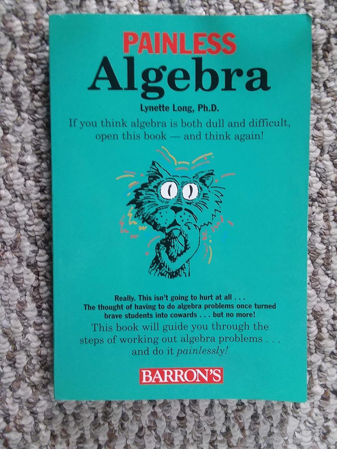Buy Painless Algebra (Barron's Painless) Book Online at Low Prices in ...