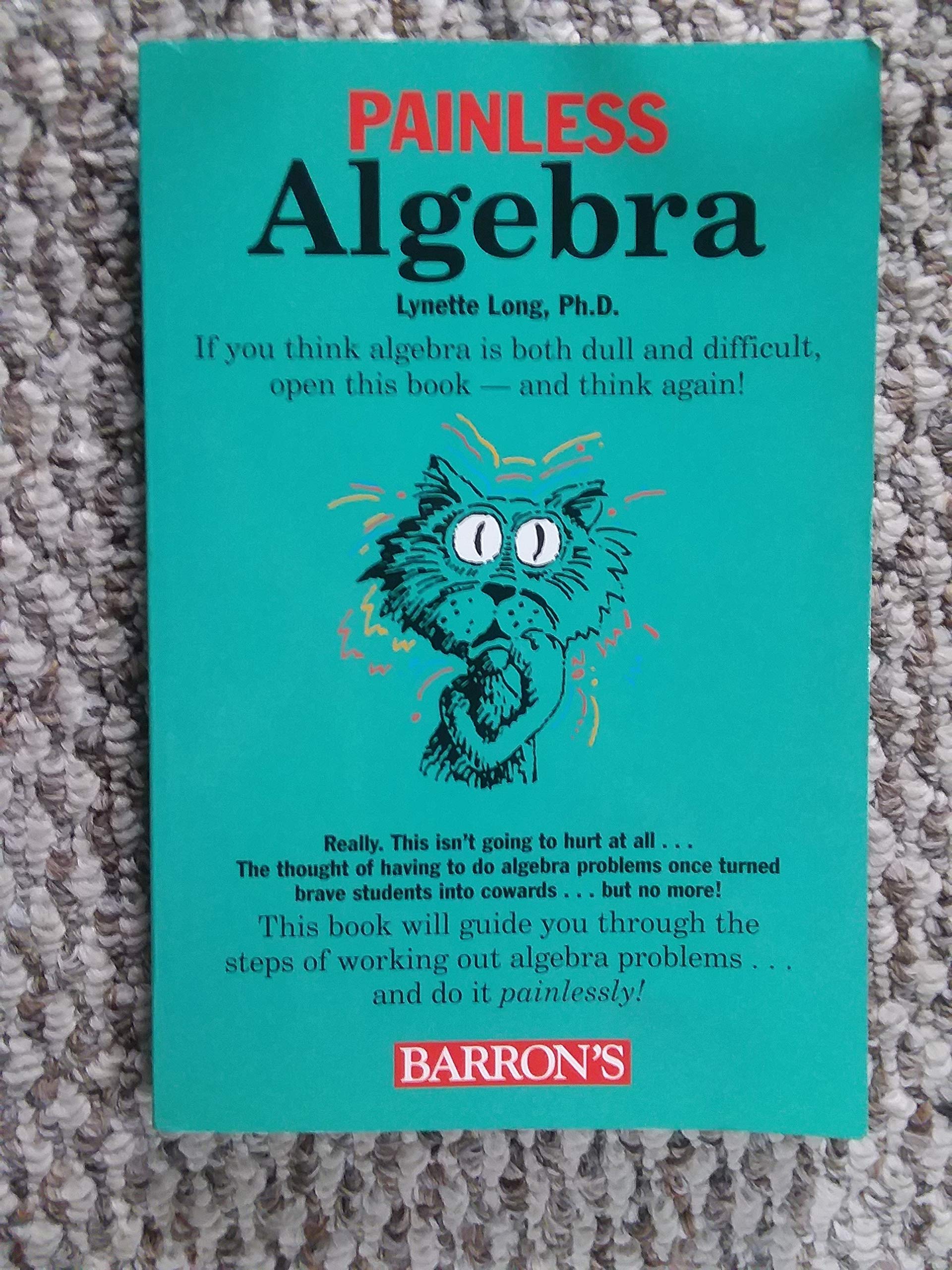 Painless Algebra: Lynette Long: 0027011006760: Amazon.com: Books