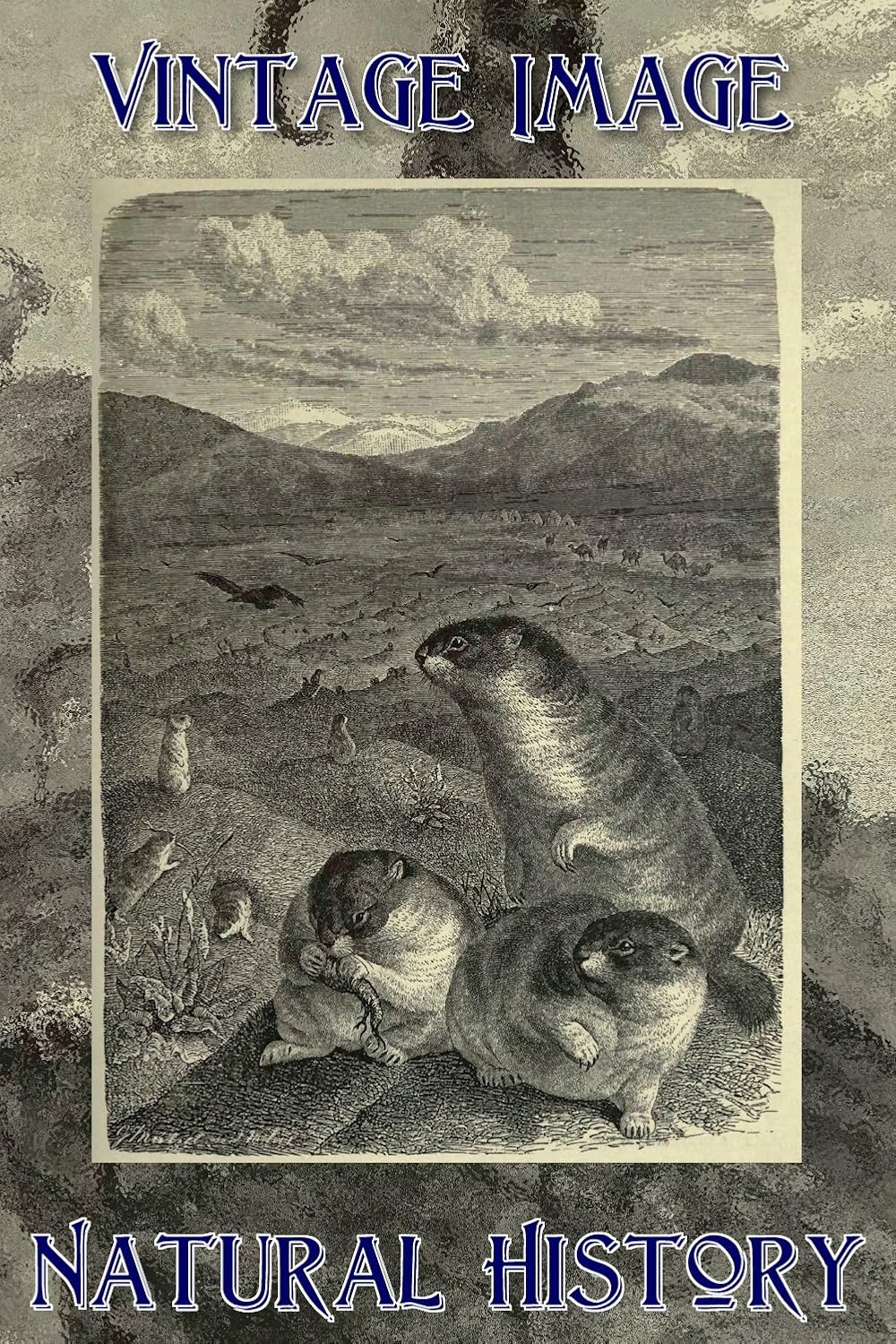 Hoja de 21 fotos brillo pegatinas cada 6,35 cm x 3,8 cm de historia ...