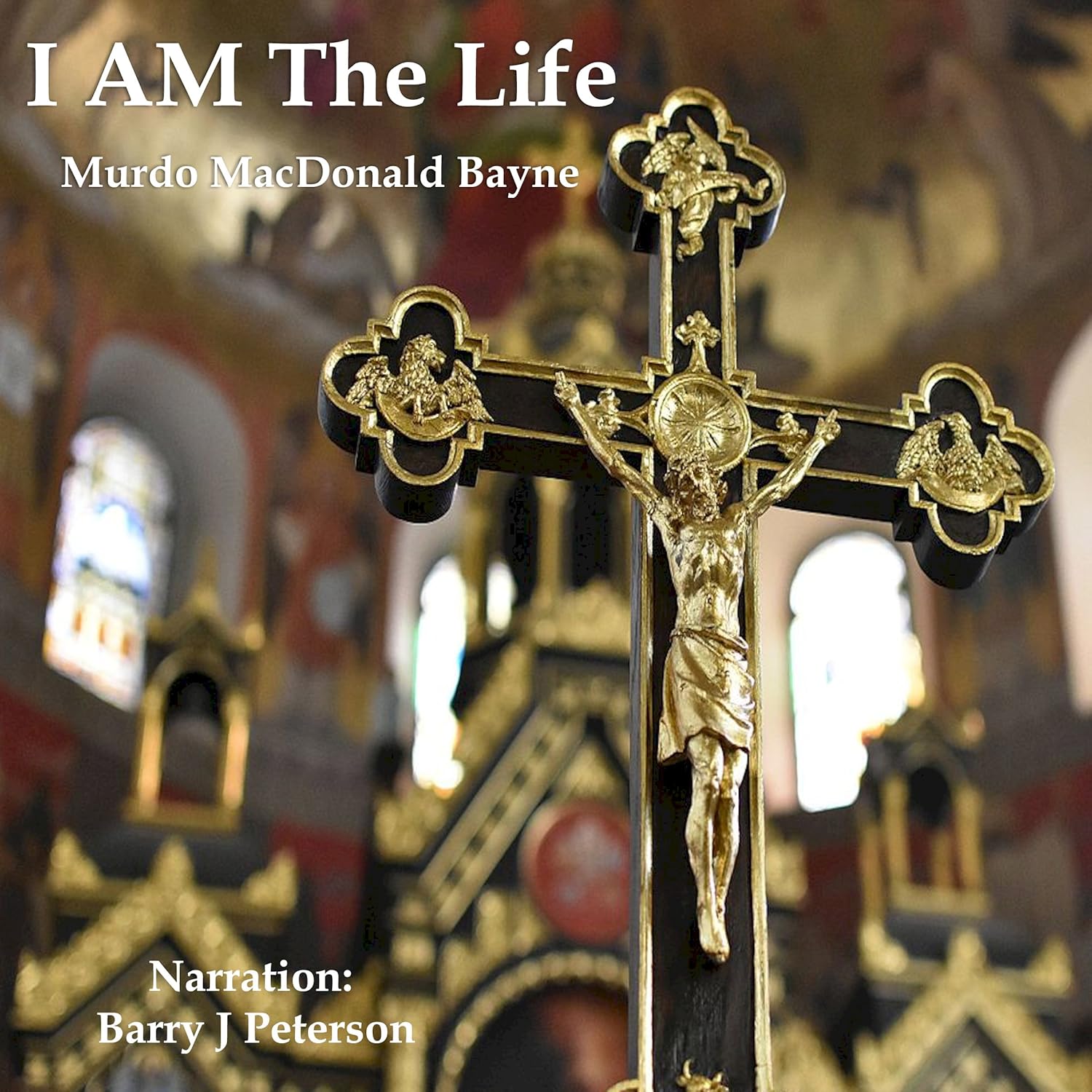 Amazon.com: I Am the Life (Audible Audio Edition): Murdo MacDonald ...