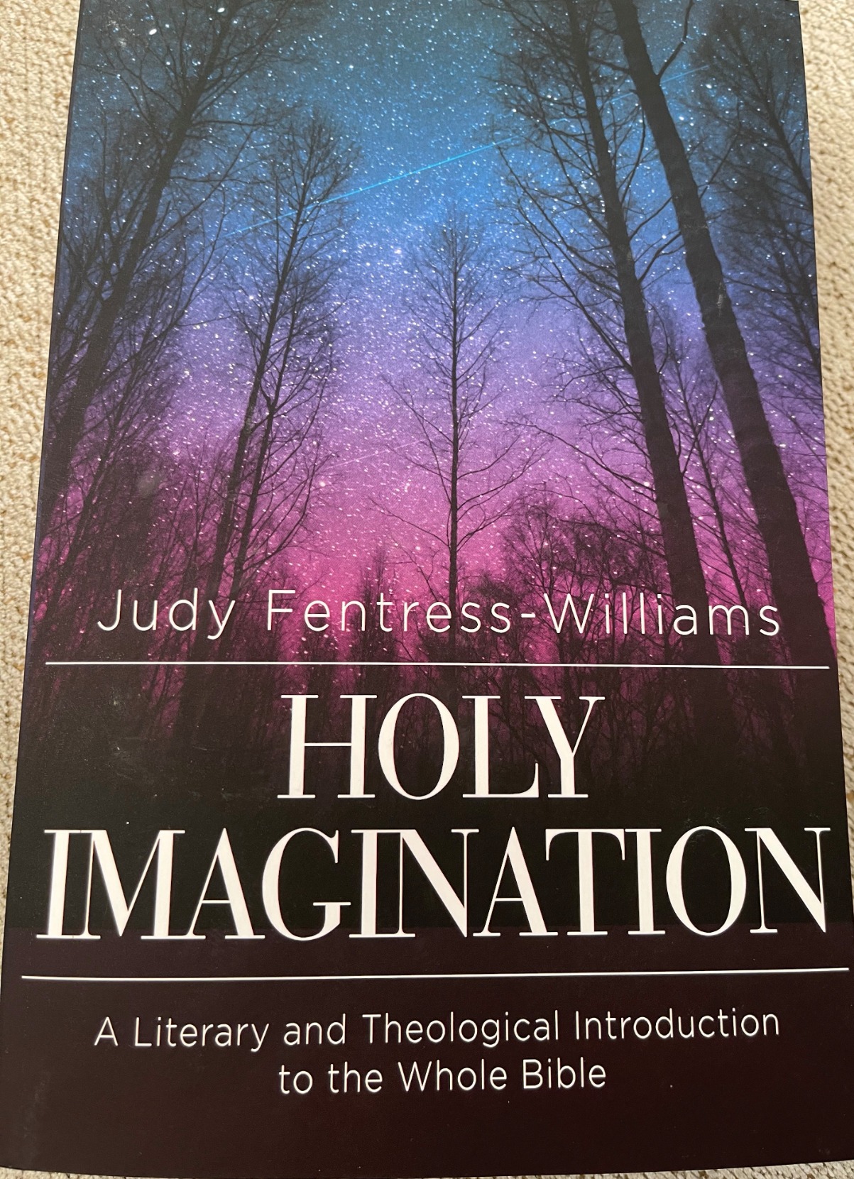 Holy Imagination: A Literary and Theological Introduction to the Whole ...