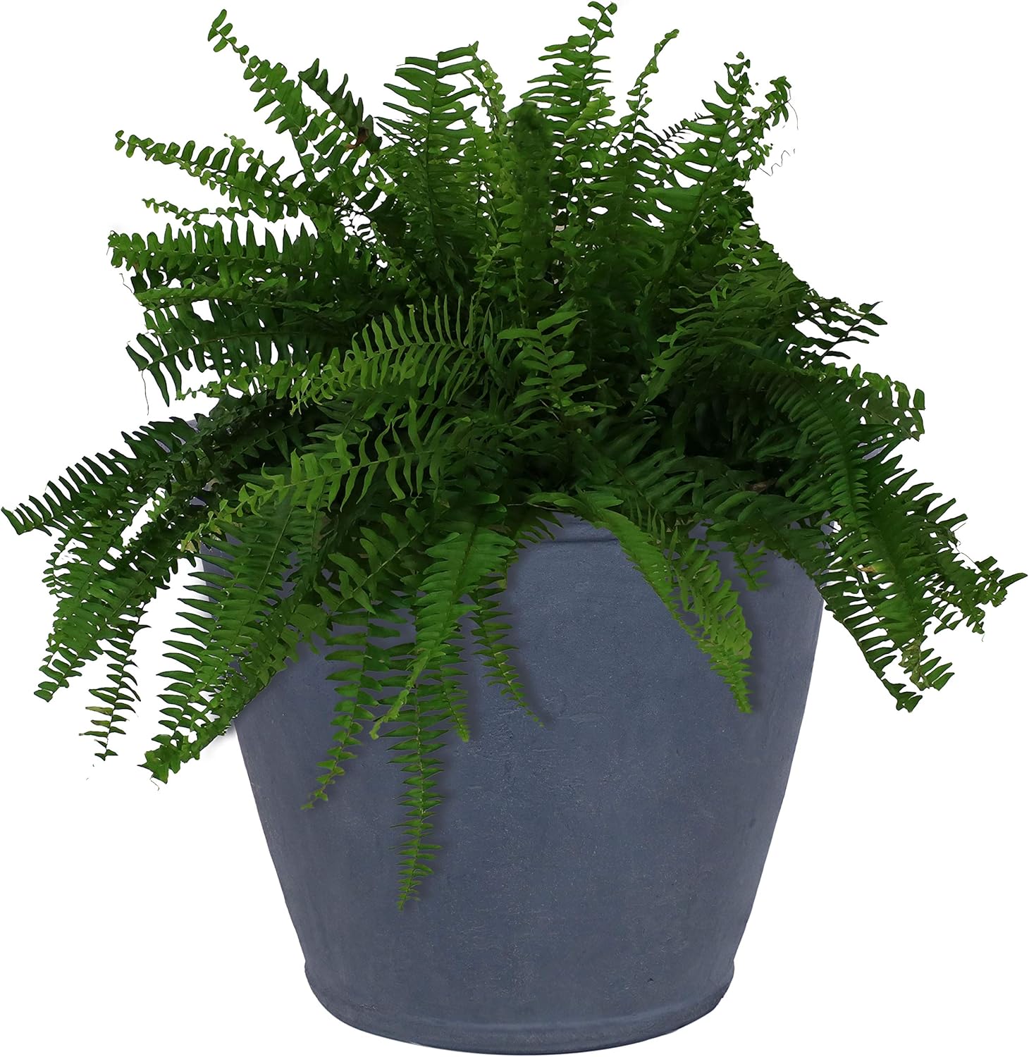 Amazon.com : Sunnydaze 24-Inch Anjelica Large Plastic Pot for Plants ...