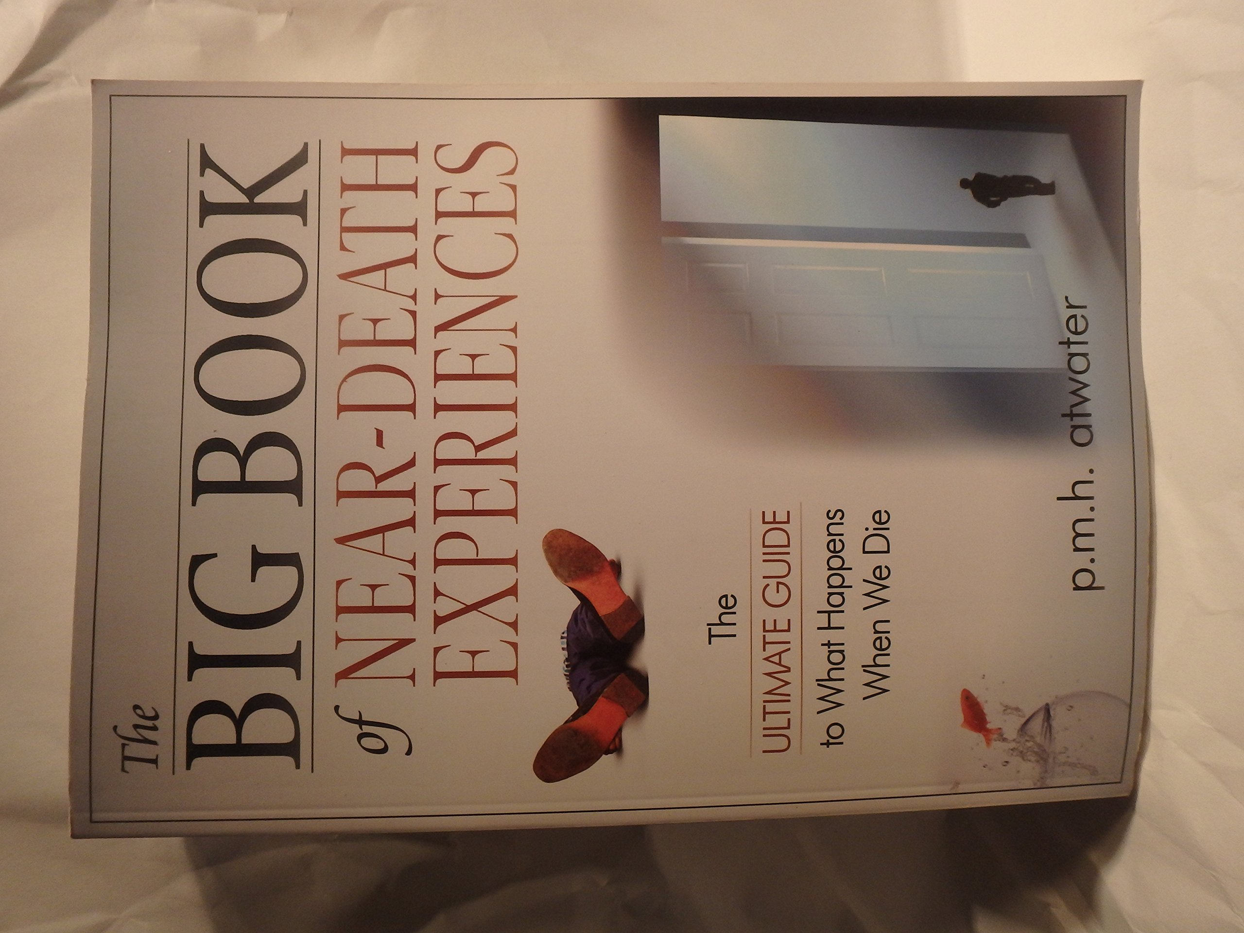 Amazon.com: The Big Book of Near-Death Experiences: The Ultimate Guide ...