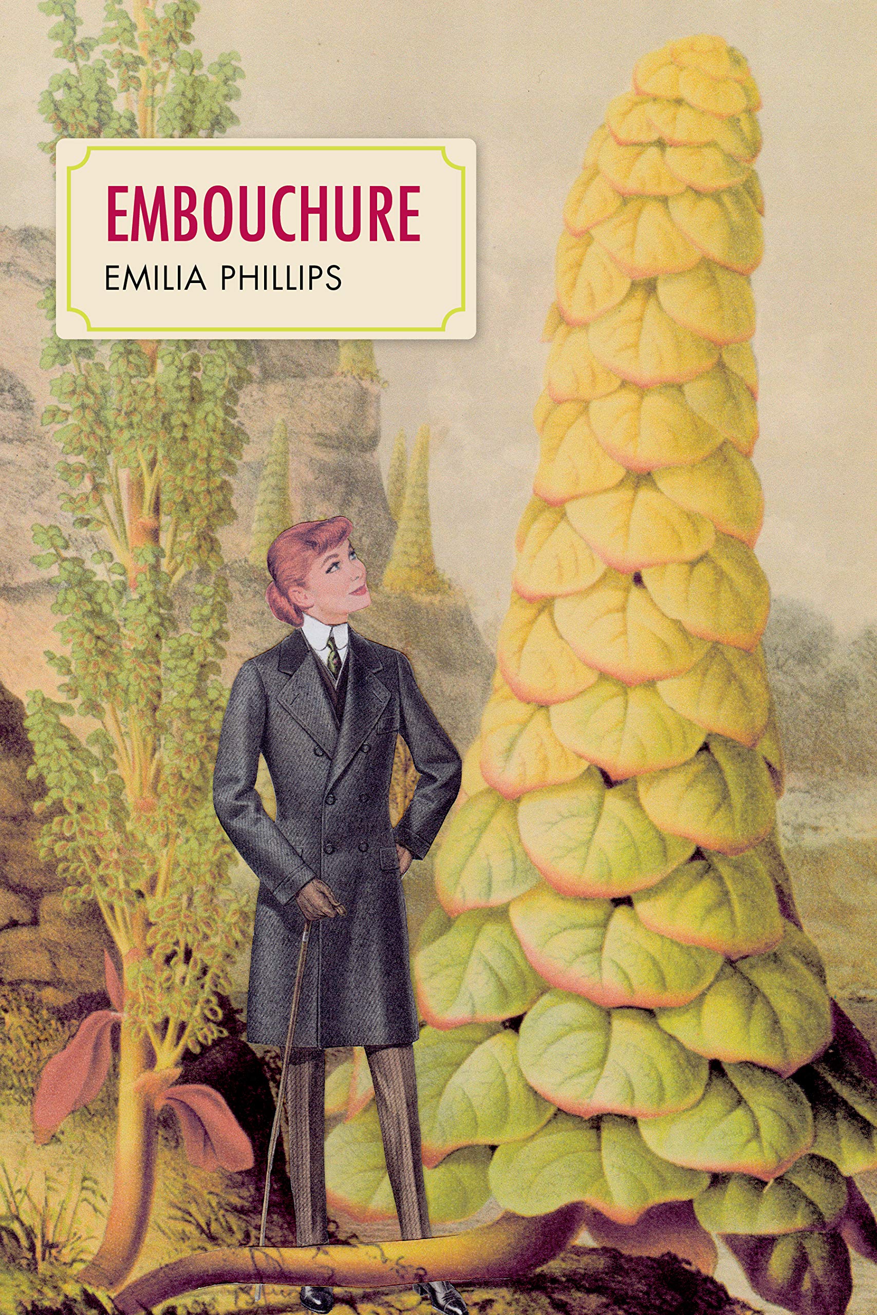 Embouchure: Poems (Akron Series in Poetry): Phillips, Emilia ...