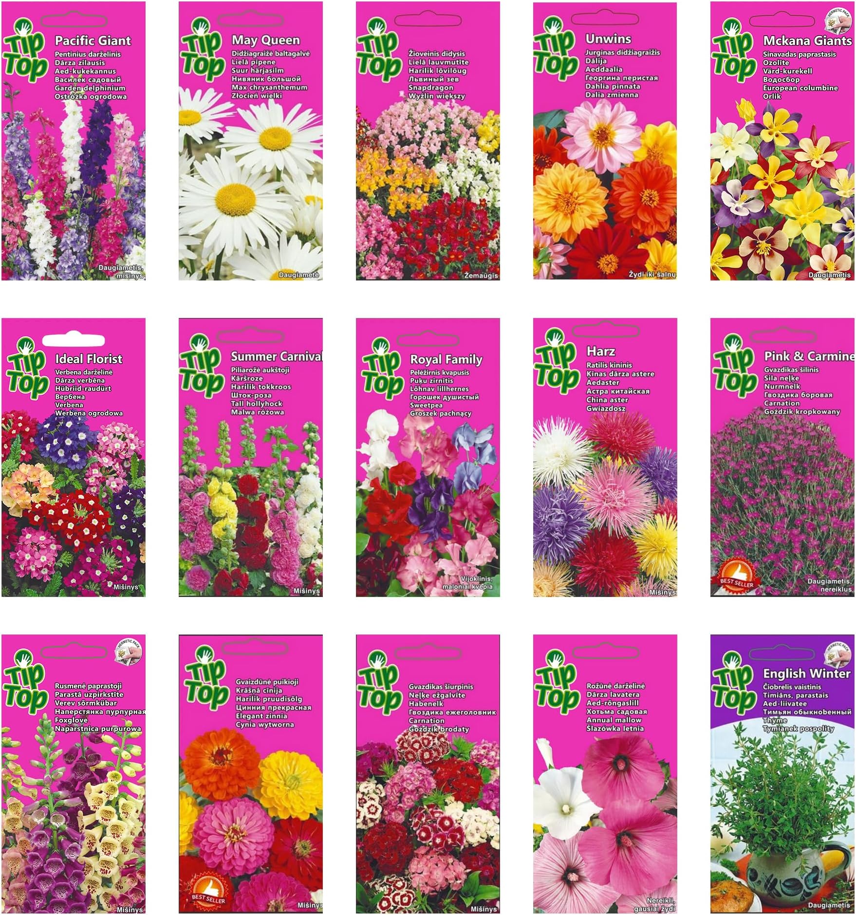 Haloppe 100 Stück Alstroemeria Lilie Blumen Pflanzen Samen für ...