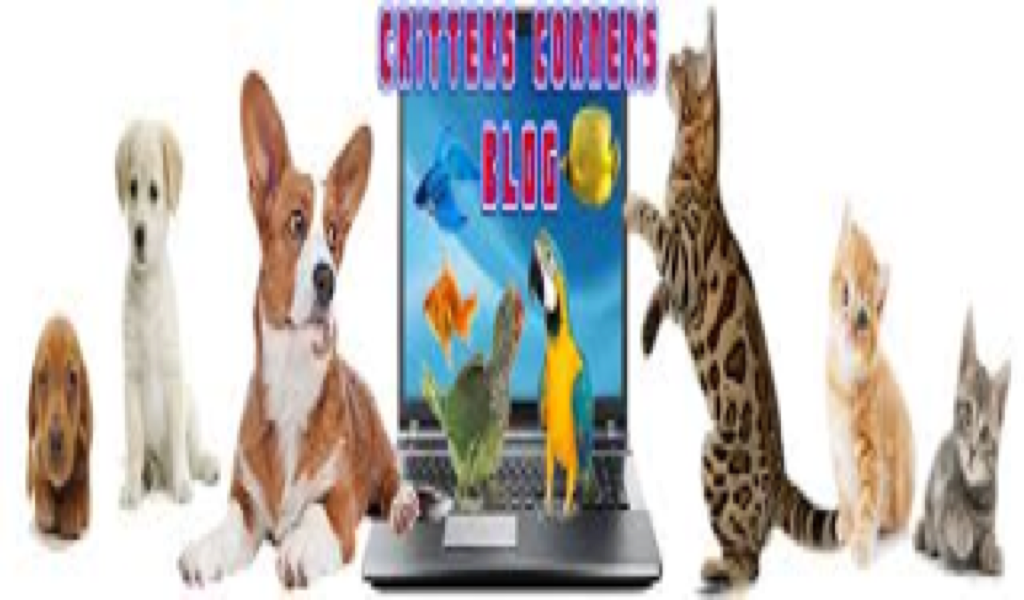 Pets Store App - App on Amazon Appstore