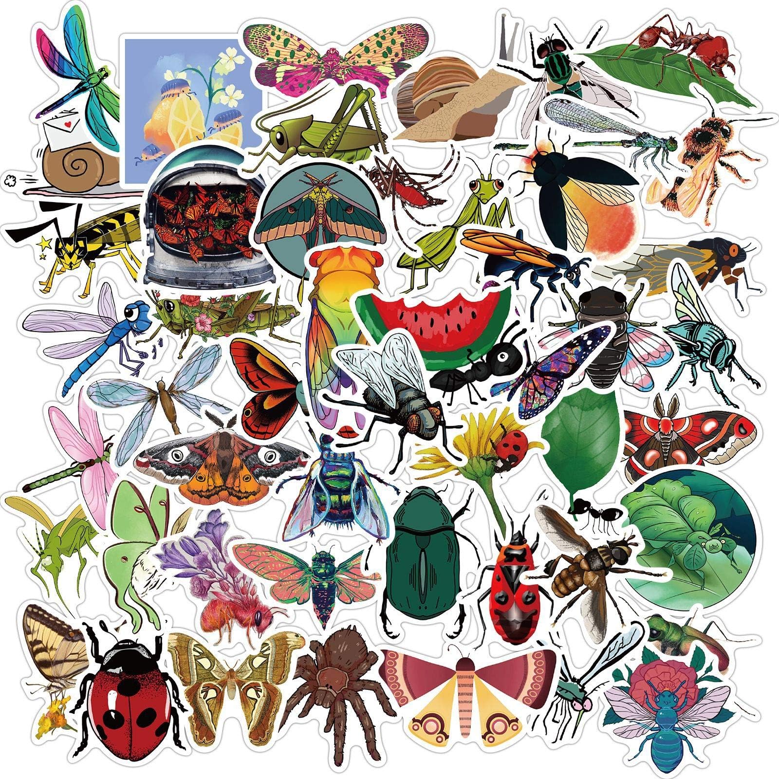 Amazon.com: Bug Nature Stickers for Kids,Scrapbook Stickers Insect ...