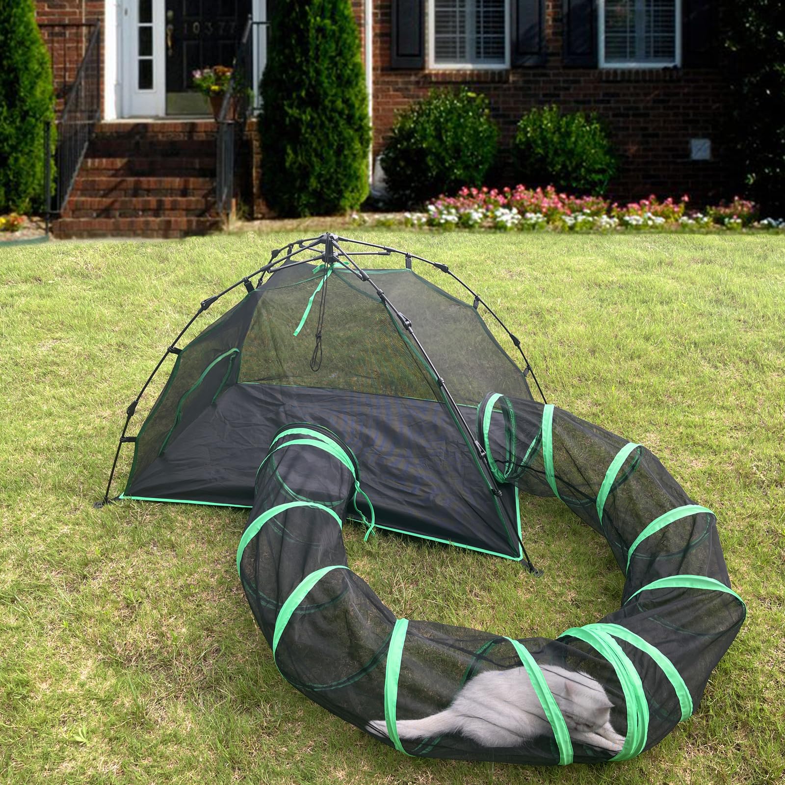 Pawtenda 2-in-1 Outdoor Cat Tent, Small Dome Cat Tents for Outside ...