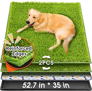 Best 2-Hole Dog Box Solutions for Indoor Potty Training – Amy's Pet ...