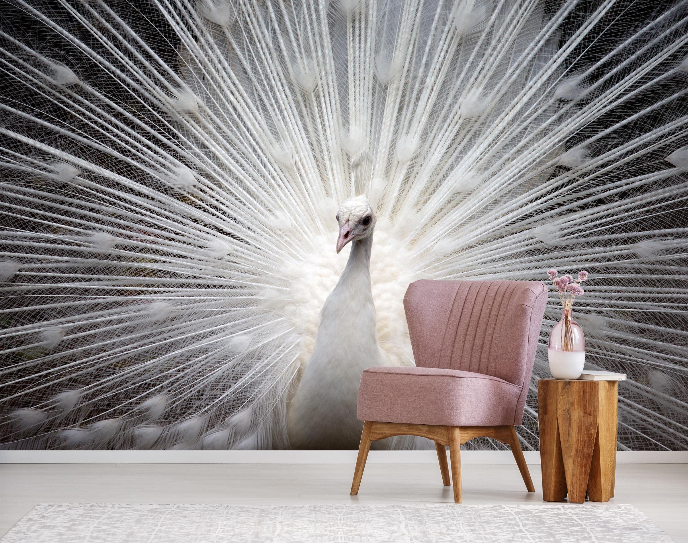 White Peacock Wallpaper