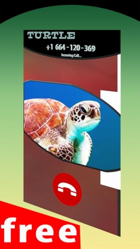 Fake call from Turtle-Free Prank:Amazon.com:Appstore for Android
