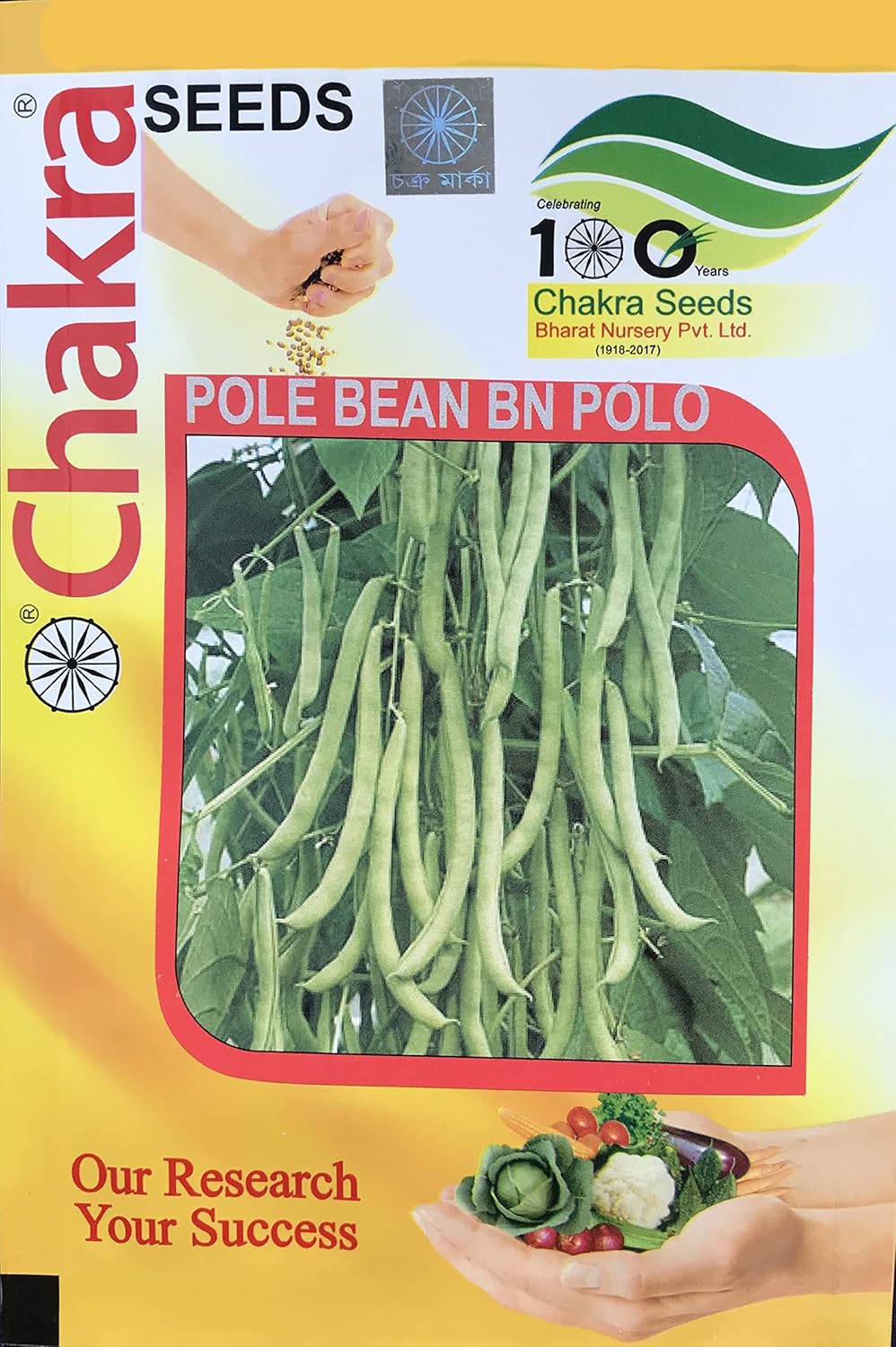 CHAKRA SEEDS Hybrid Pole Bean Variety Vegetable Seeds : Amazon.in ...