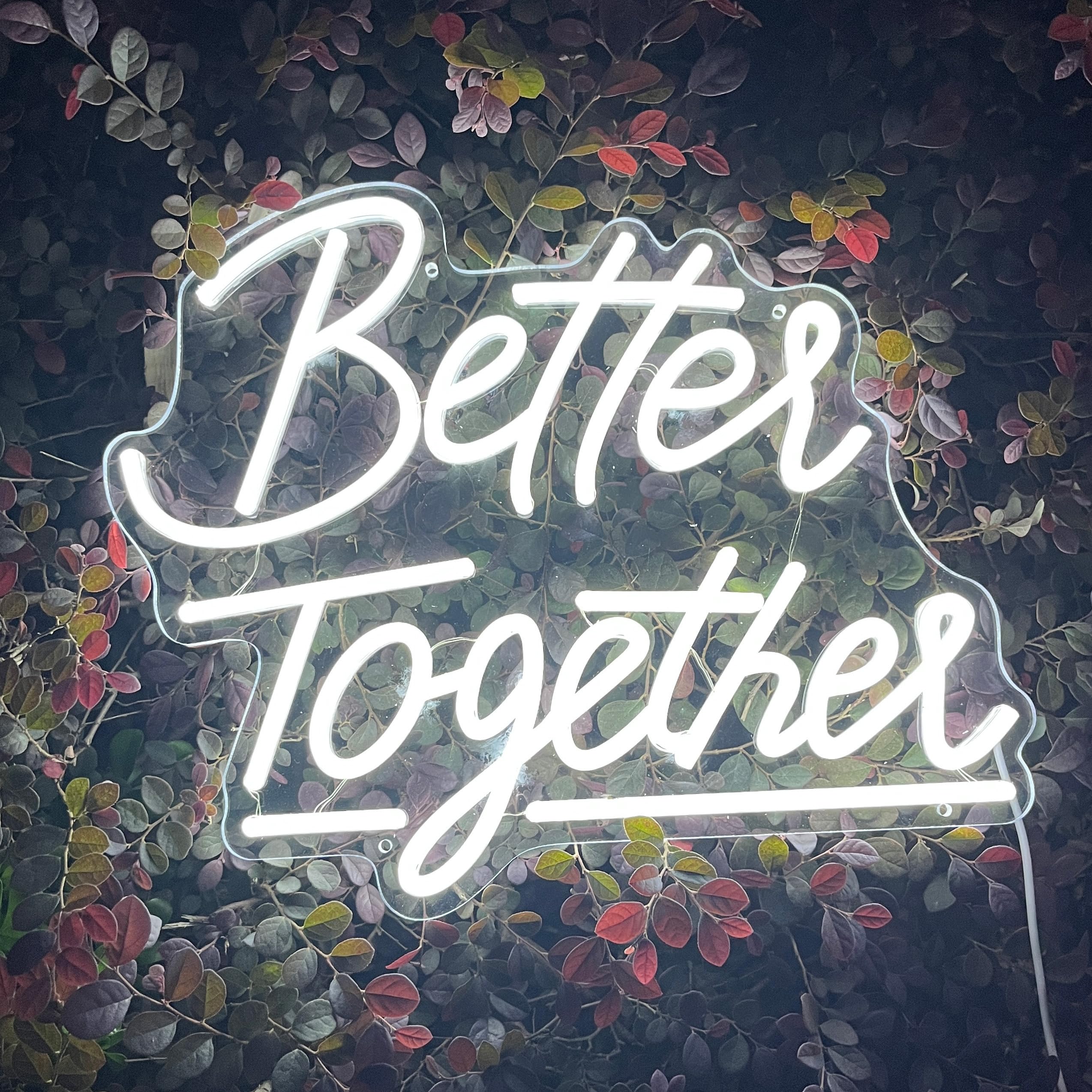 NUOSHANZS Better Together Neon Sign for Art Wall lights Decor with ...