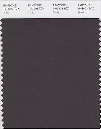 Amazon.com: PANTONE Smart 19-3903X Color Swatch Card, Shale : Home ...