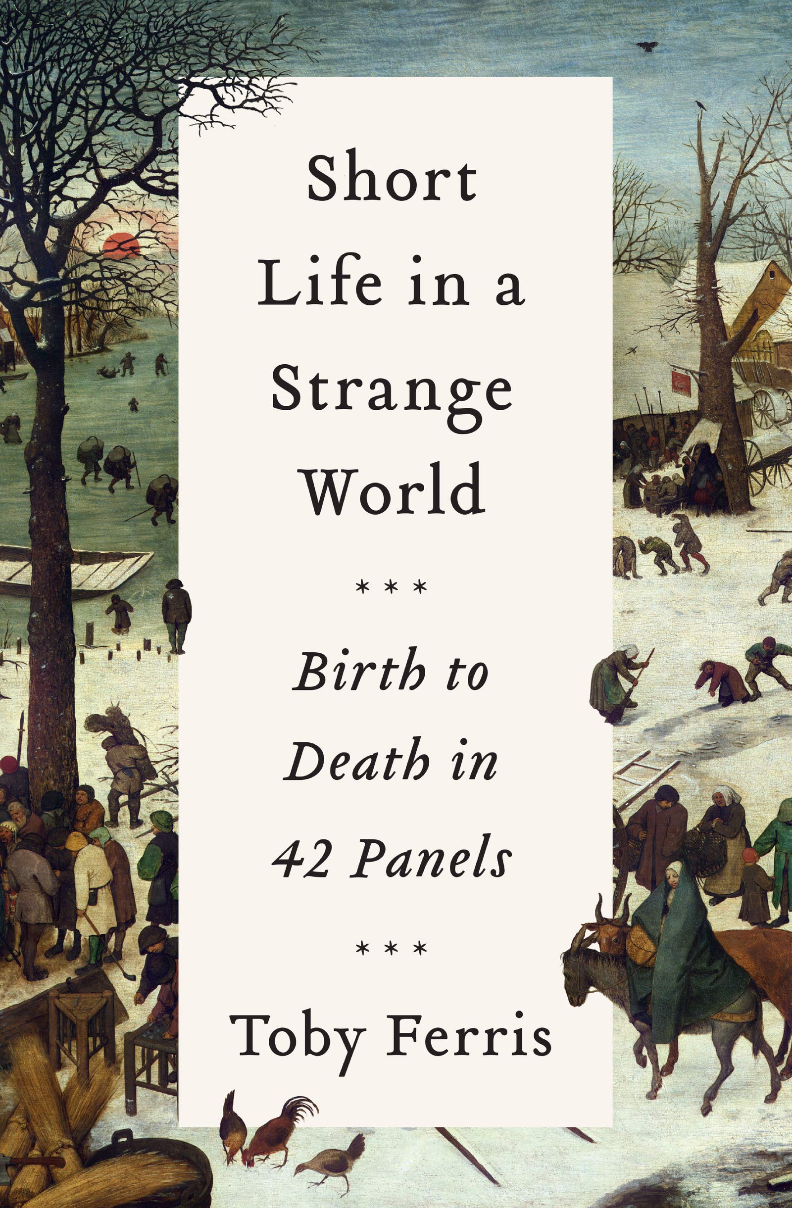 Short Life in a Strange World: Birth to Death in 42 Panels: Ferris ...